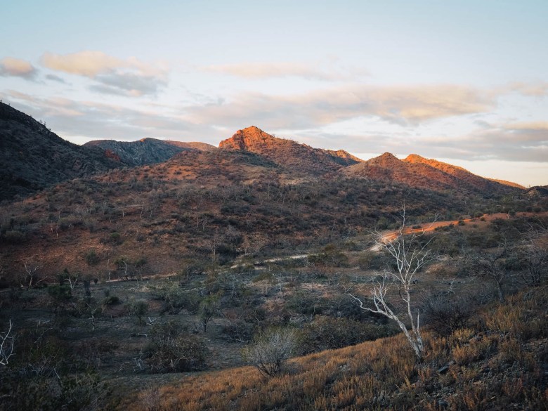Cómo explorar Arkaroola Wilderness Sanctuary en el sur de Australia